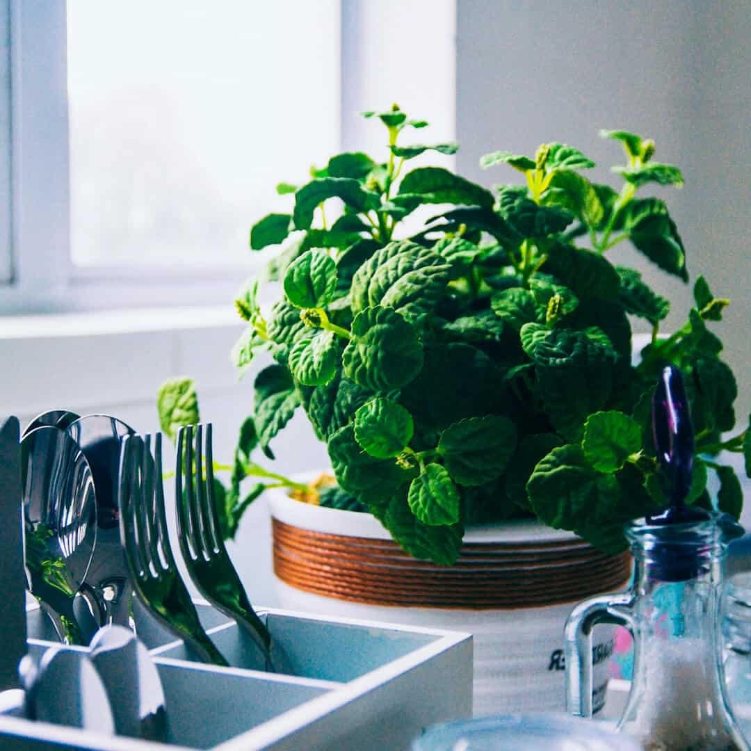 Fragrances – Air Esscentials