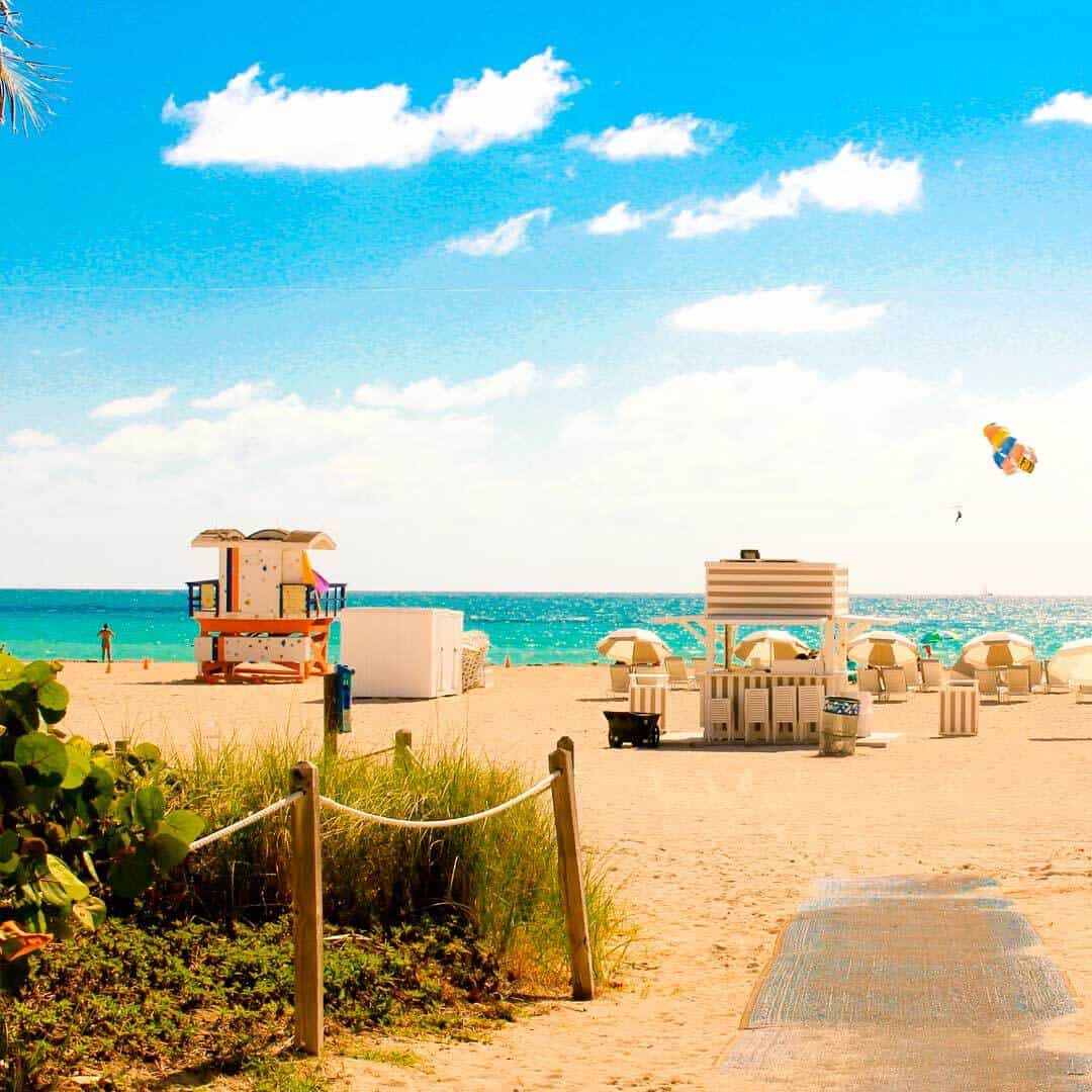 Miami Beach Aroma Oil | Citrus Cologne & Musk